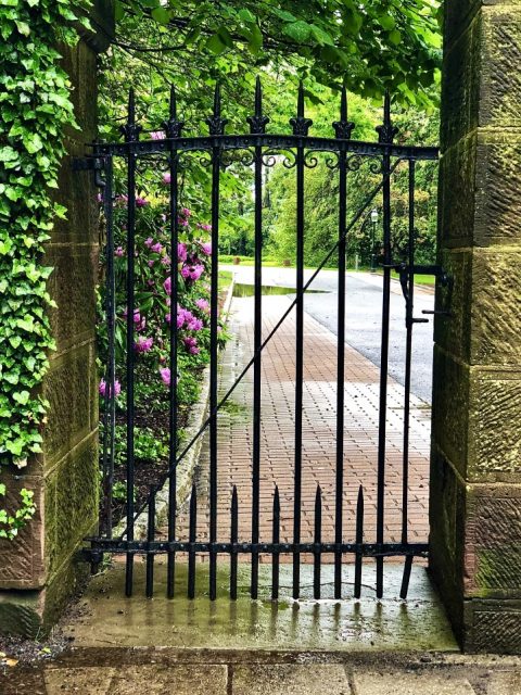 Gate Repair Or Gate Replacement: Which Is Better? - NEXGENTRADIES